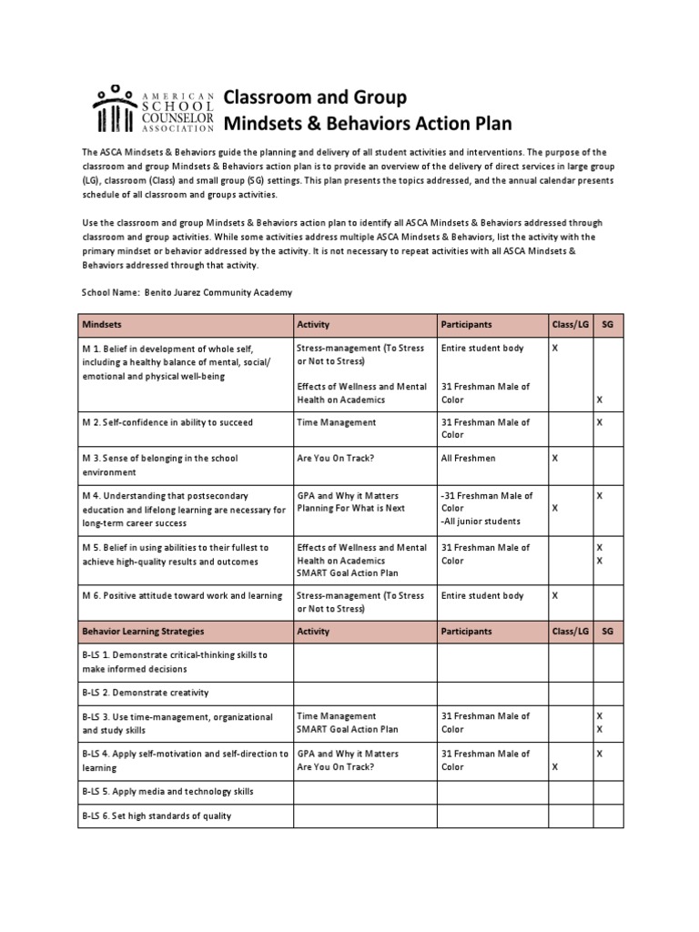 Classroom and Group M B Action Plan | PDF | Mindset | Goal