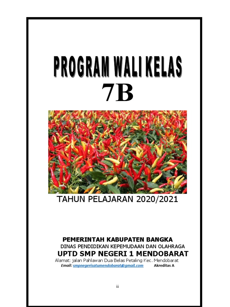 Programa Kerja Wali Kelas 7b | PDF