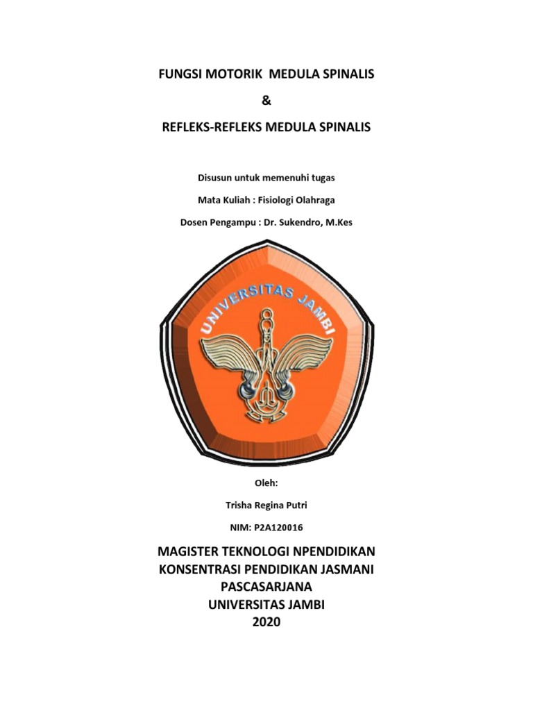 Fungsi Motorik Medula Spinalis Dan Refleks | PDF