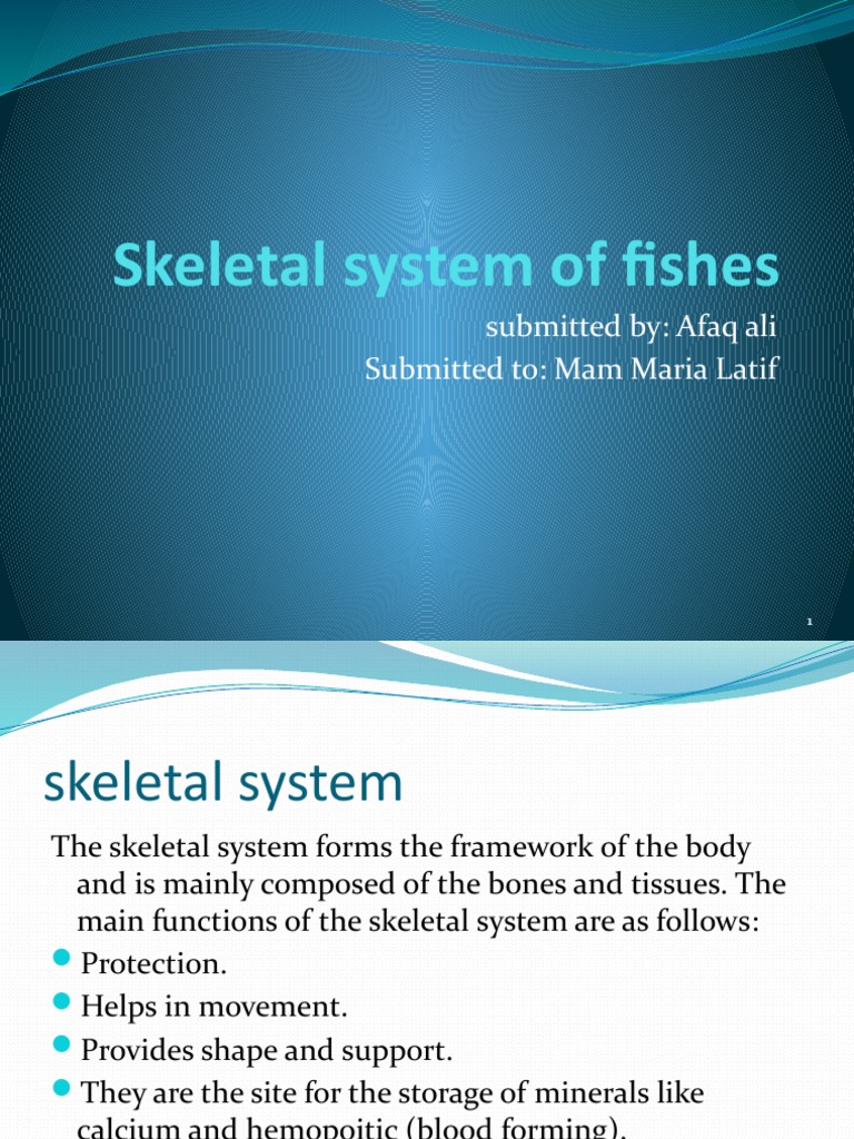 Skeletal System of Fishes | PDF | Skeleton | Cartilage