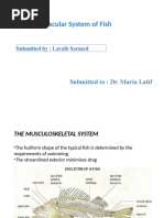 Endocrine System of Fish | PDF | Luteinizing Hormone | Endocrine System