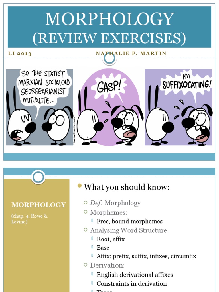 3 Morphology Review Exercises For Midterm | PDF | Morphology ...