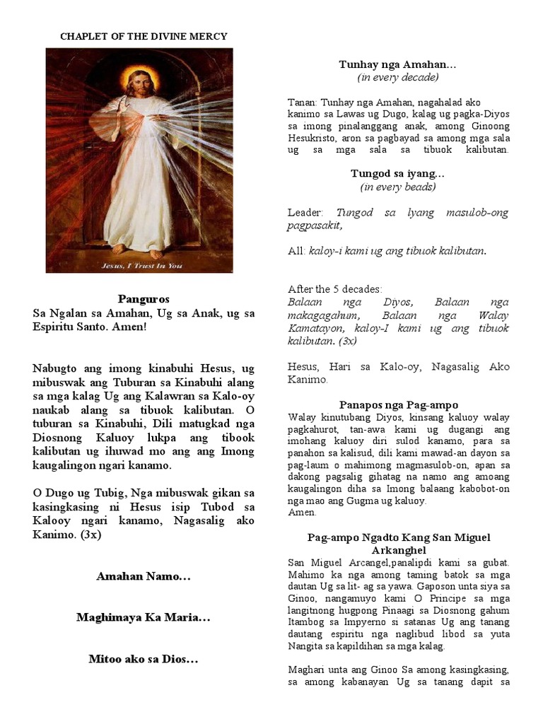 Chaplet of The Divine Mercy | PDF