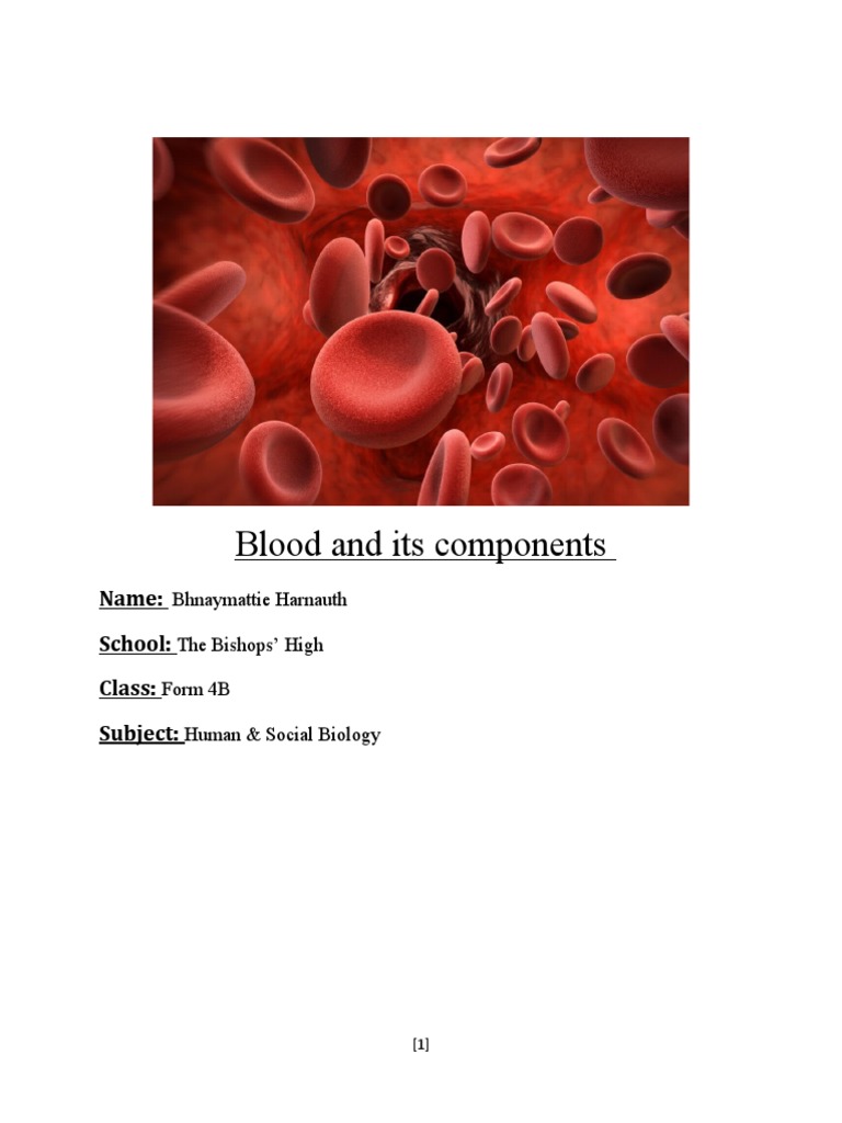 Blood and Its Components | PDF | Blood | Human Body