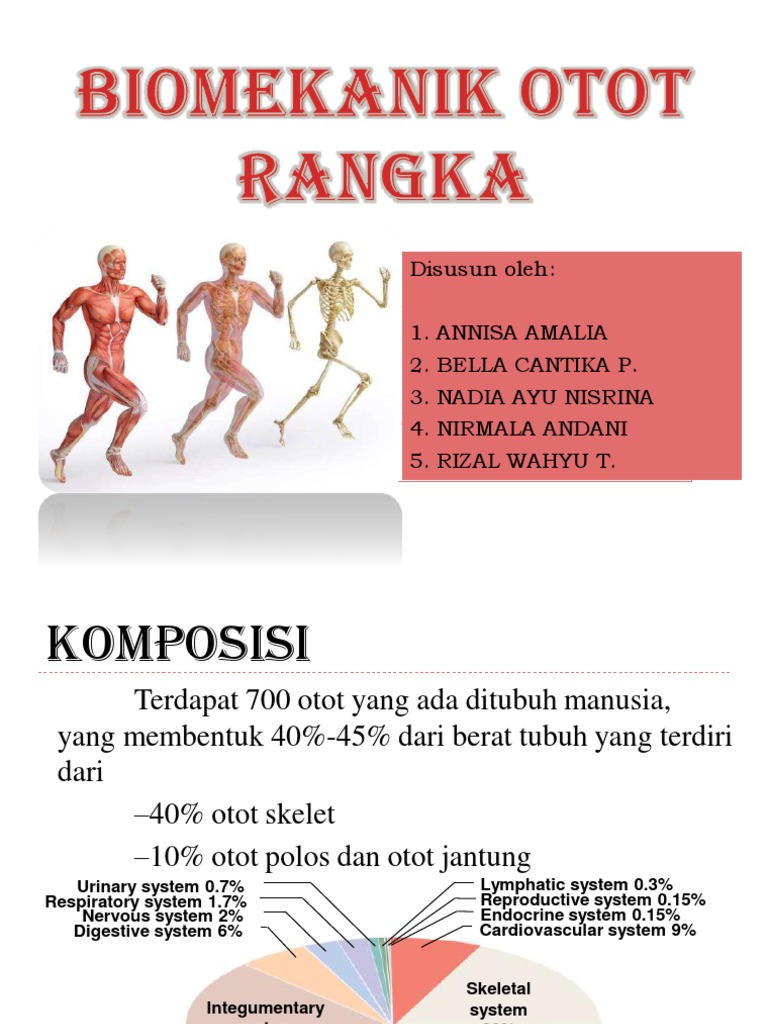 Otot Rangka | PDF