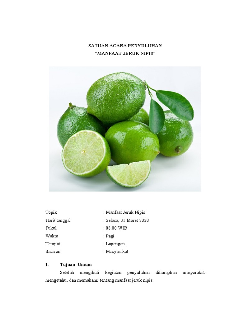 Contoh SAP Jeruk Nipis (PROMKES) | PDF