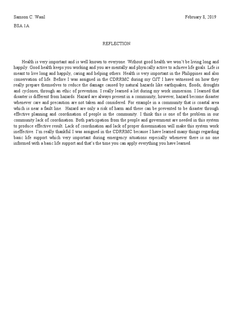 Disaster Risk Reduction Reflection | PDF