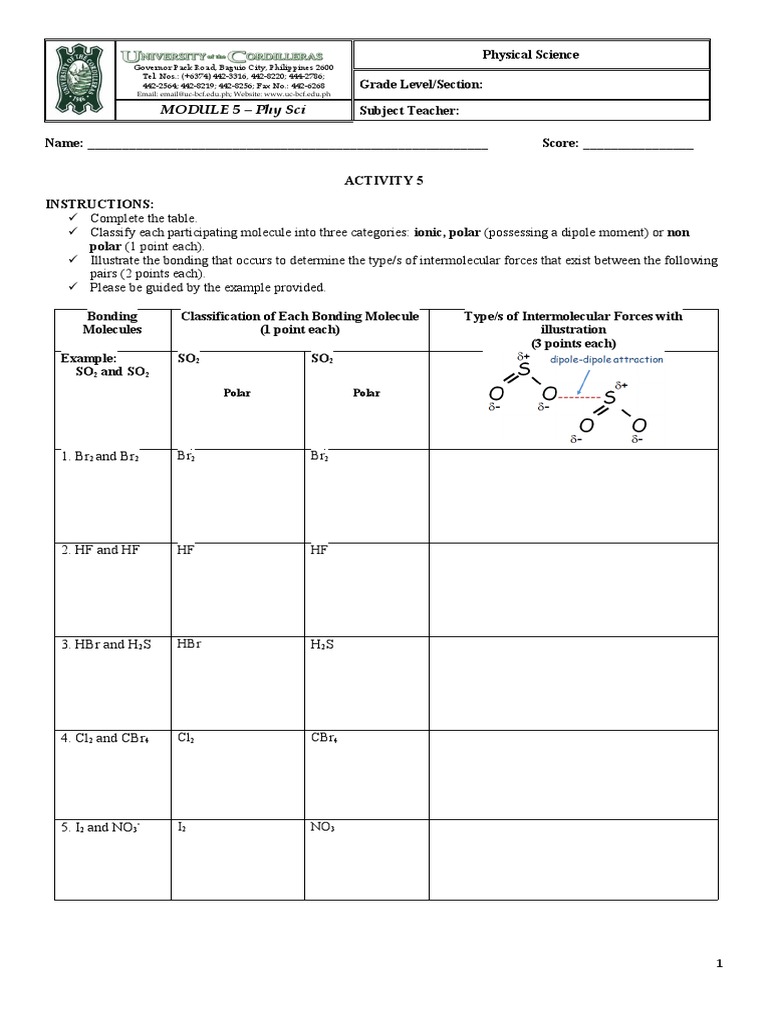 MODULE 5 Assessment | PDF
