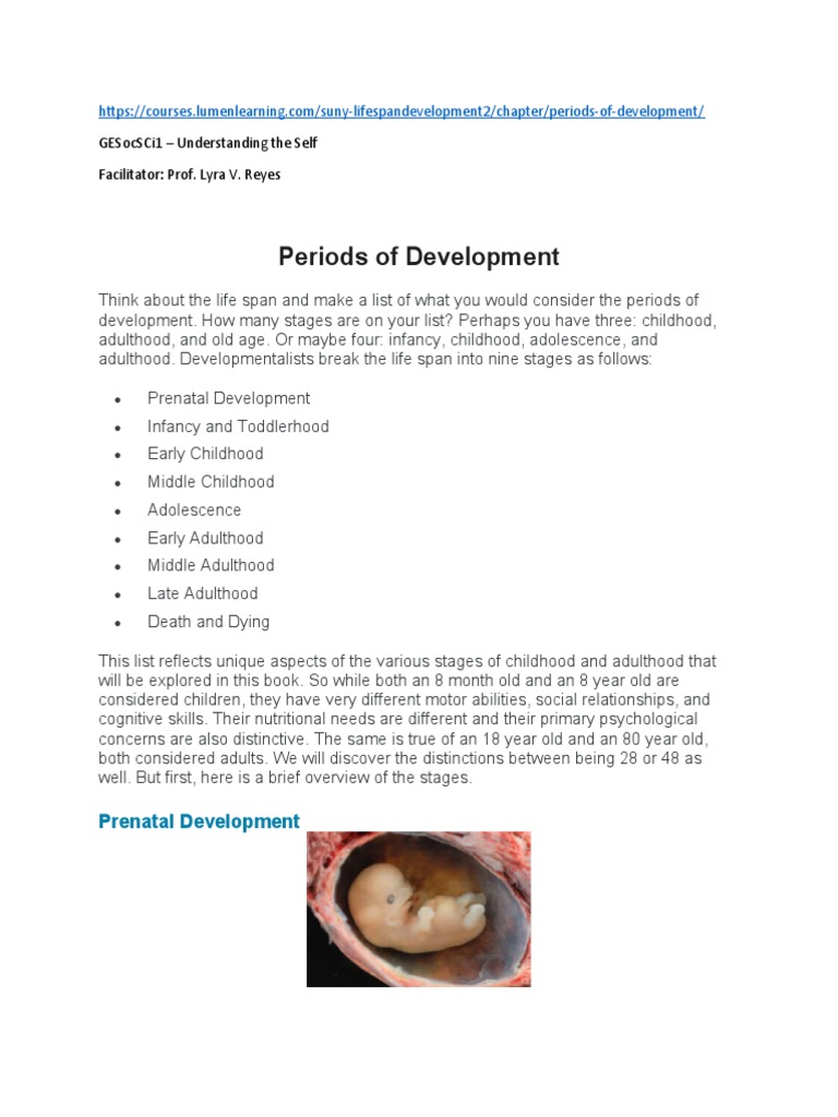 Life Span Development Stages | PDF | Childhood | Early Childhood