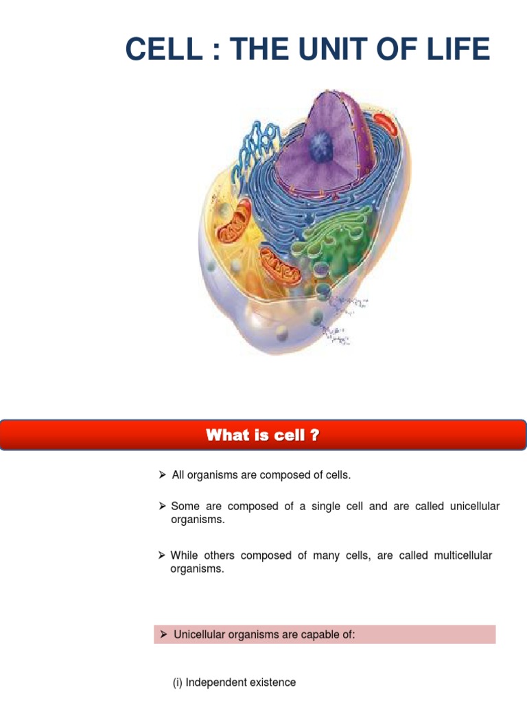 08 Nov Ar Sir | PDF | Cell (Biology) | Eukaryotes