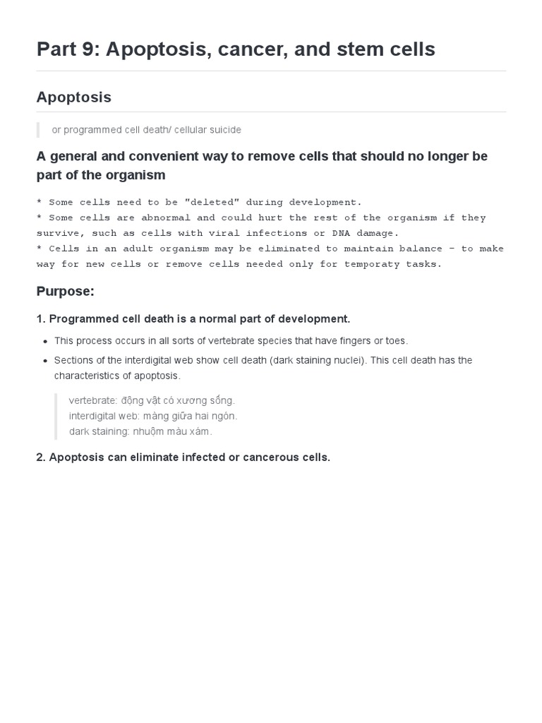 Part 9 - Apoptosis Cancer and Stem Cells | PDF | Apoptosis | Cell Potency
