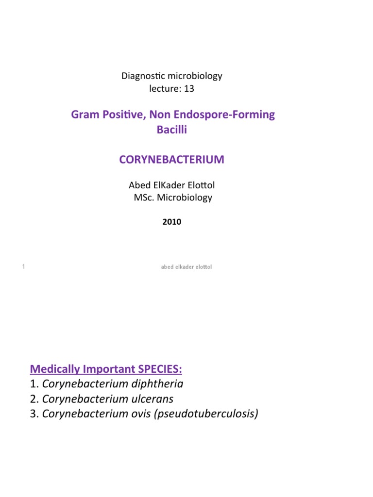 Diagnosis and Identification of Medically Important Corynebacterium ...