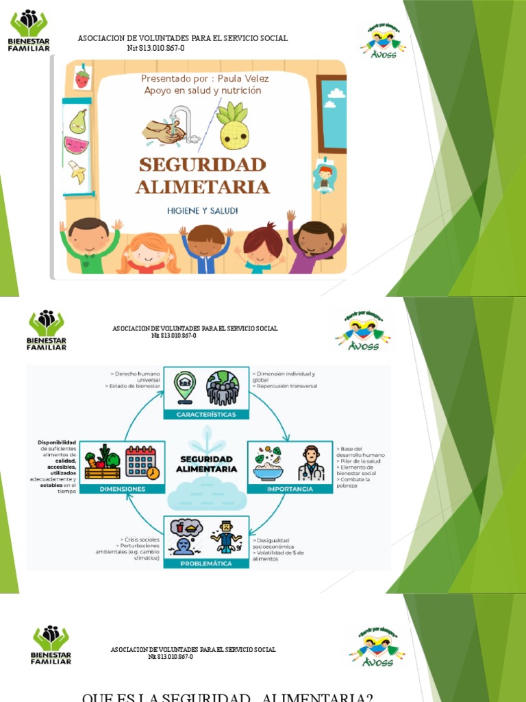 Seguridad Alimentaria: Pilares y Desafíos | PDF | Seguridad alimentaria ...