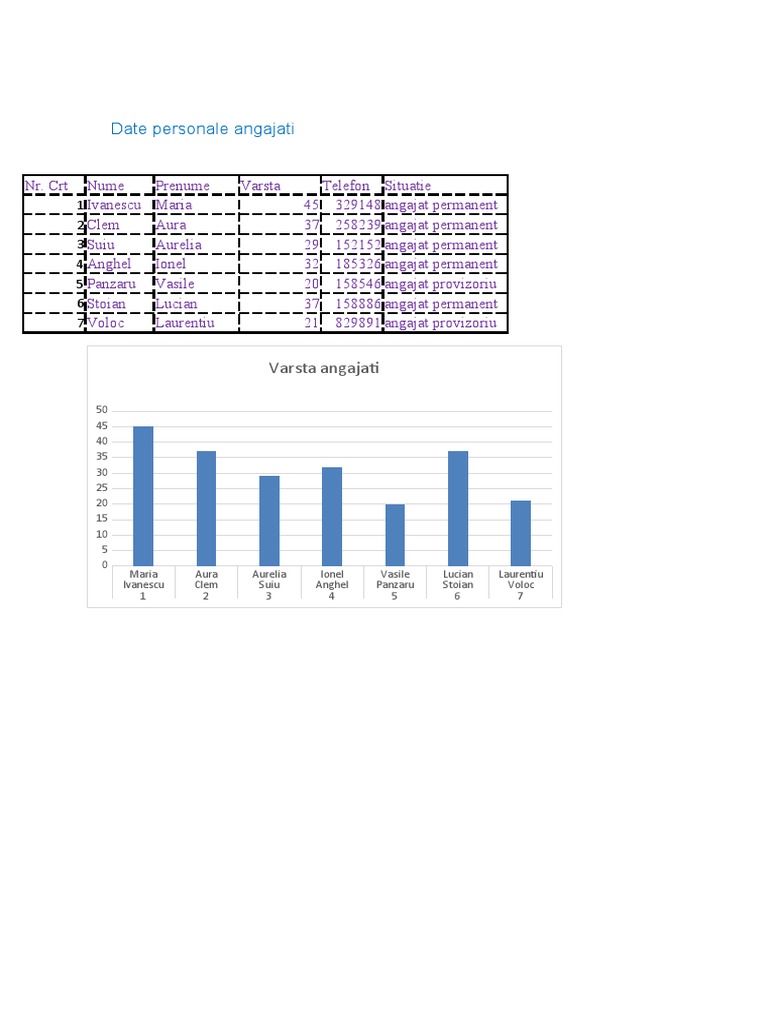 Atestat Office | PDF