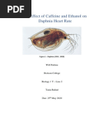 AP Bio: Daphnia Heart Rate Study | PDF | Heart Rate | Caffeine