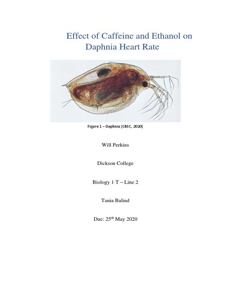 Final - Daphnia Heart Rate Report | PDF | P Value | Heart Rate