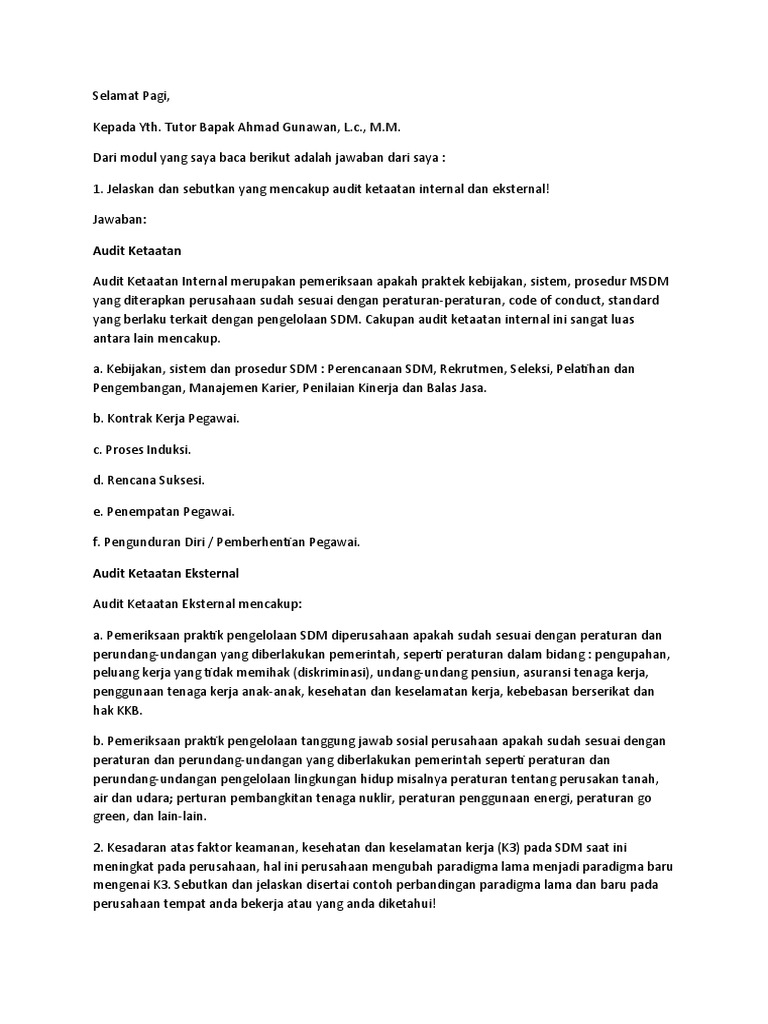 Diskusi 8 Audit SDM | PDF