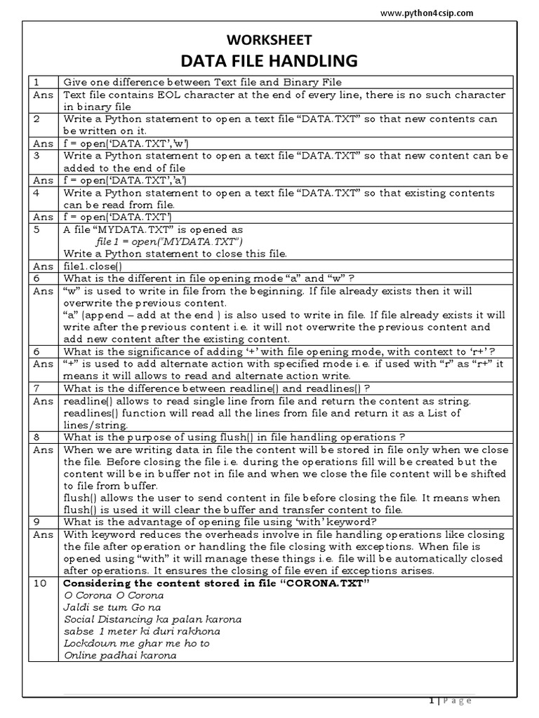 Data File Handling: Worksheet | PDF | Software Engineering | Computer Programming