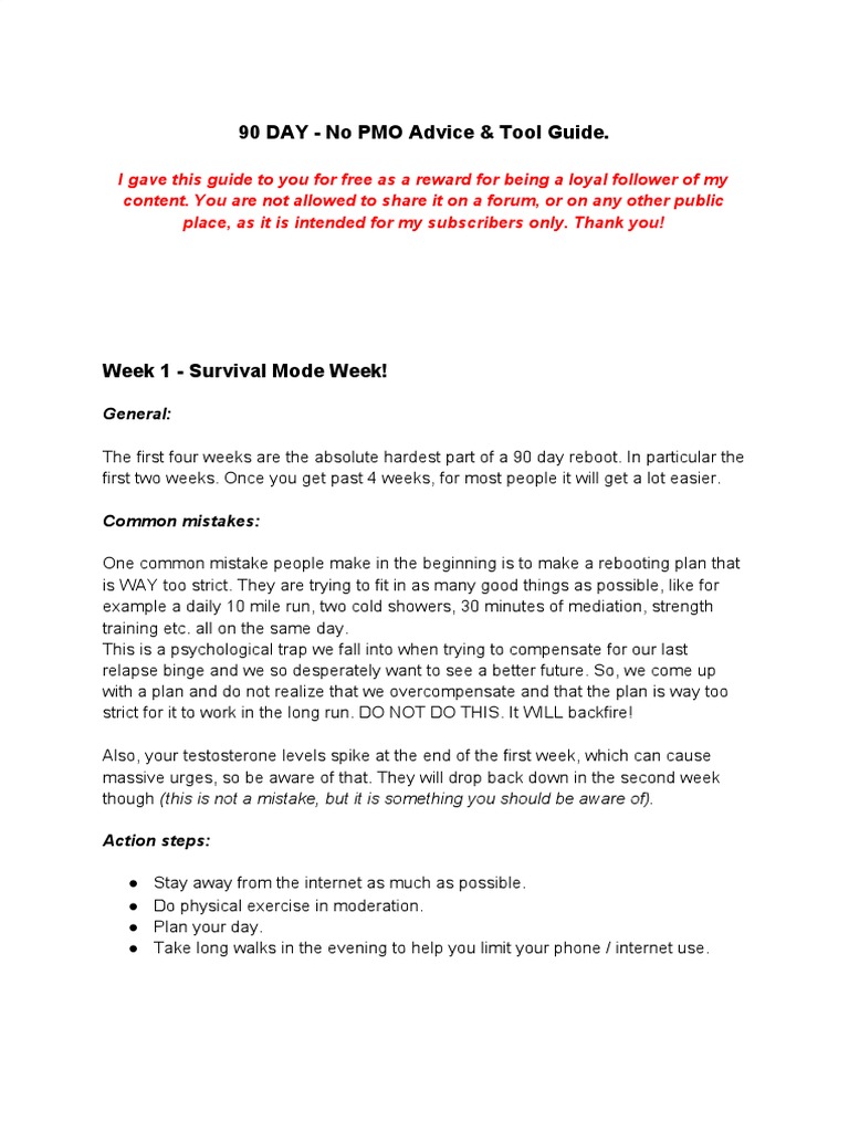 90 DAY - No PMO Advice & Tool Guide For Success | PDF | Prefrontal ...