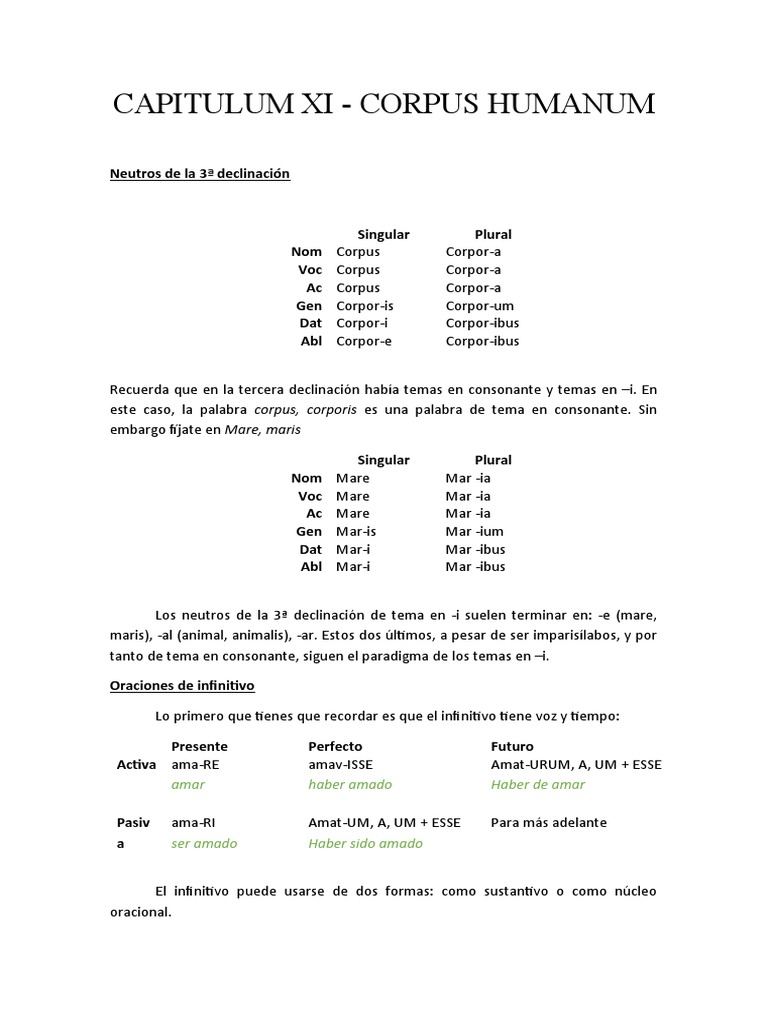 Cap. XI - CORPUS HUMANUM | PDF | Verbo | Sintaxis