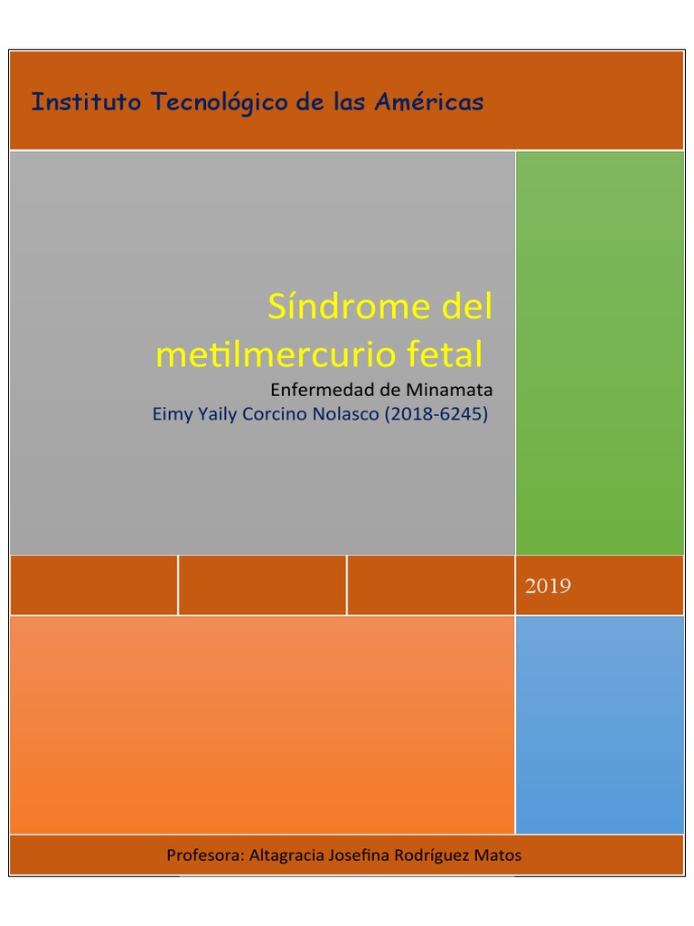 El síndrome del metilmercurio fetal y la enfermedad de Minamata: Un ...