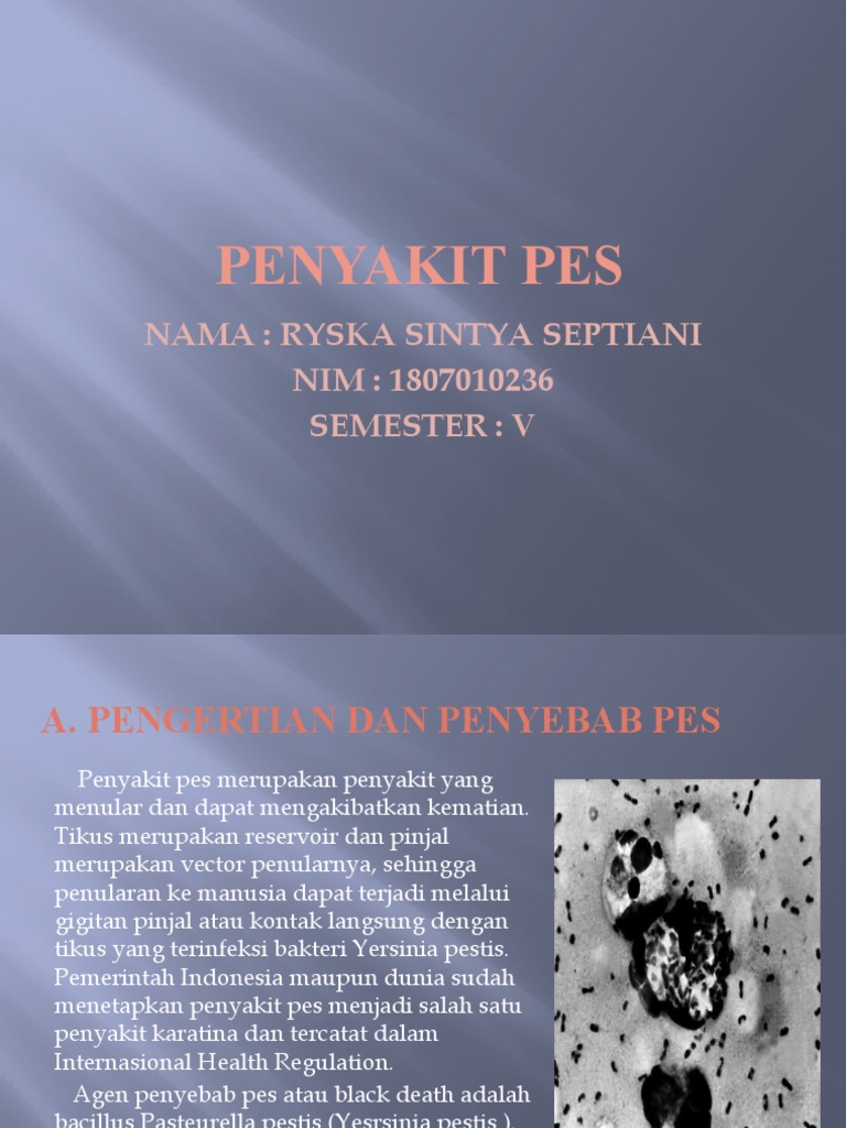 Penyakit Pes | PDF