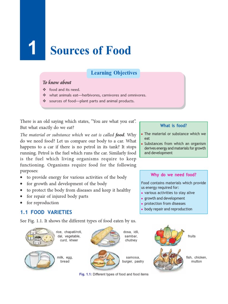 Sources of Food: Learning Objectives | PDF | Seed | Foods