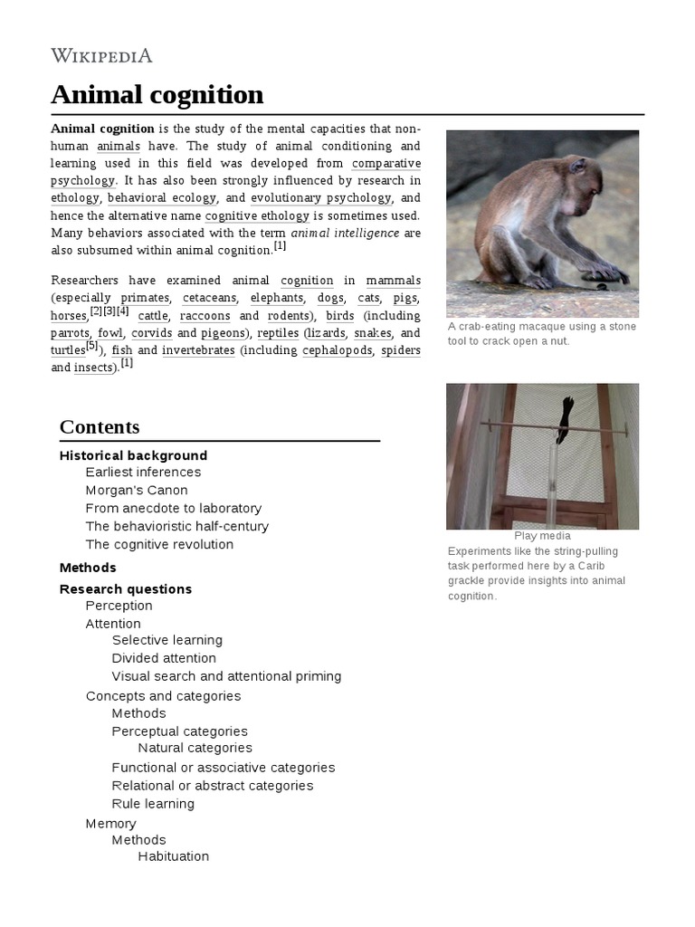 Animal Cognition: Animal Cognition Is The Study of The Mental ...