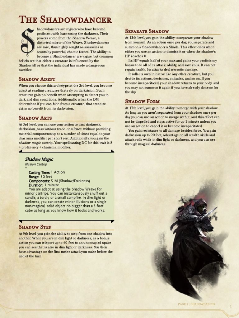 The Shadowdancer: Separate Shadow | PDF | Role Playing Games | Leisure