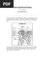 Isometric Shoulder Strengthening Guide | PDF | Anatomical Terms Of ...