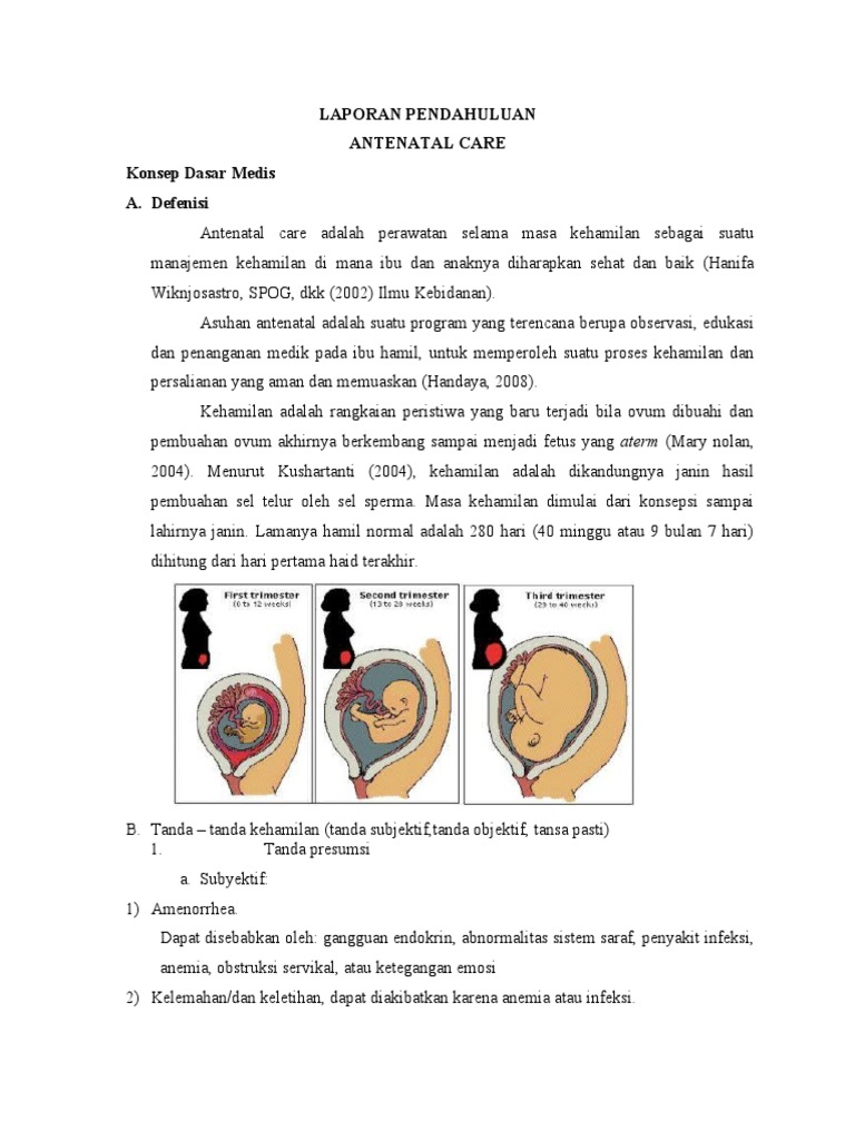 Panduan Lengkap Antenatal Care | PDF | Kesehatan Holistik | Sains & Matematika