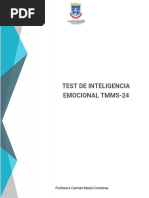 Ficha Tecnica Del TMMS-24 | PDF