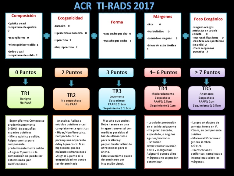 Guía para la clasificación ecográfica de nódulos tiroideos basada en ...