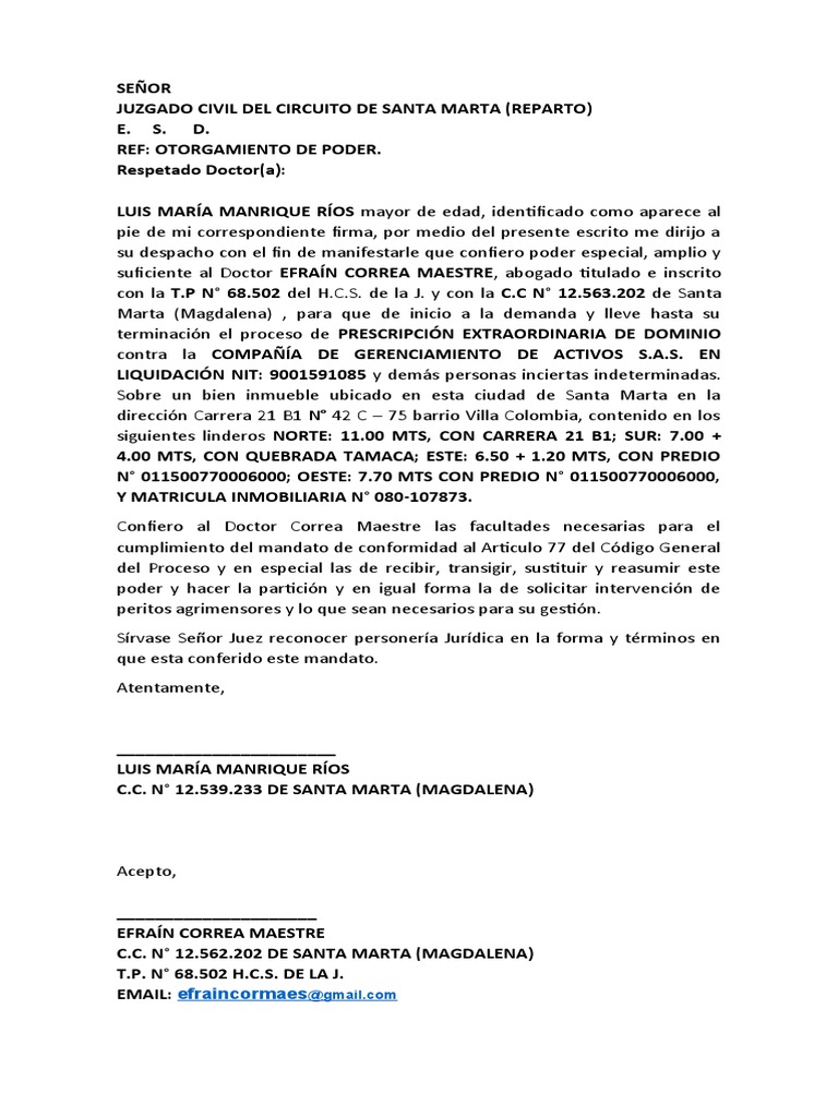 Otorgamiento de Poder - Luis Manrique Rios | PDF