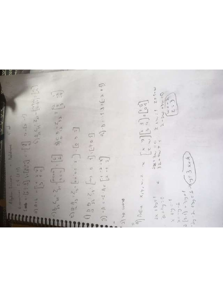 Exercícios Resolvidos Cap1,2,3,4 Algebra Linear Boldrini | PDF