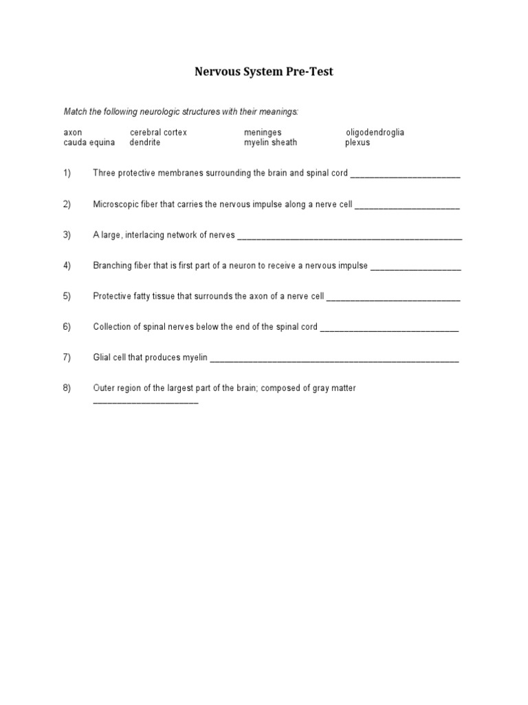 Nervous System Terminology Quiz | PDF