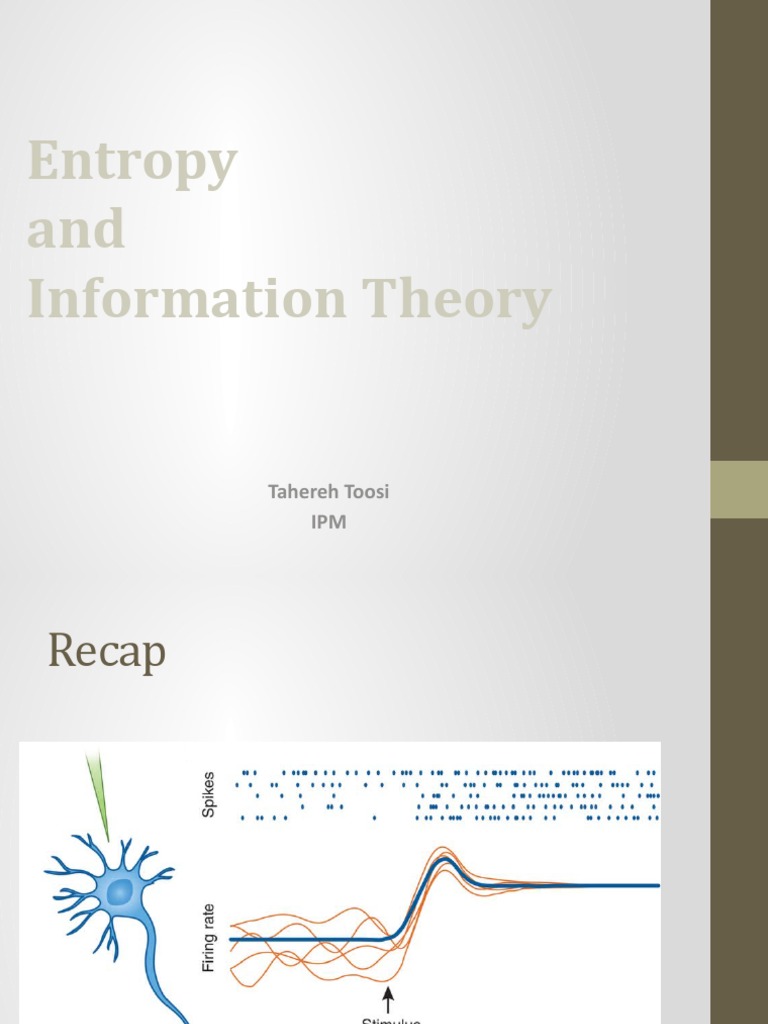 Entropy and Information Theory: Tahereh Toosi IPM | PDF | Nervous ...