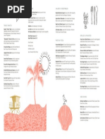 Basai Ate Take Away Menu - October 2021 | PDF | Sauce | Curry