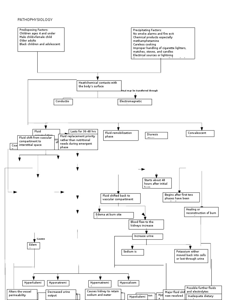 Pathophysiology-of-Burn-Injury[1]dv | Burn | Edema