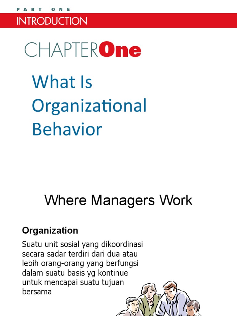 Acc Behaviour 1 | PDF | Organizational Behavior | Behavior