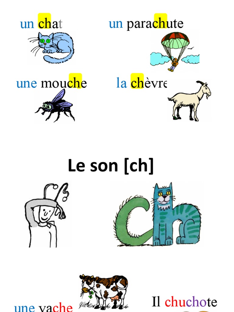 Le son [ch] en mots et phrases | PDF | Maison et jardin