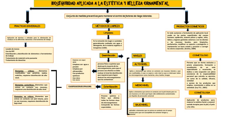 Mapa Conceptual Act 2 | PDF | Esterilización (Microbiología) | Productos cosméticos
