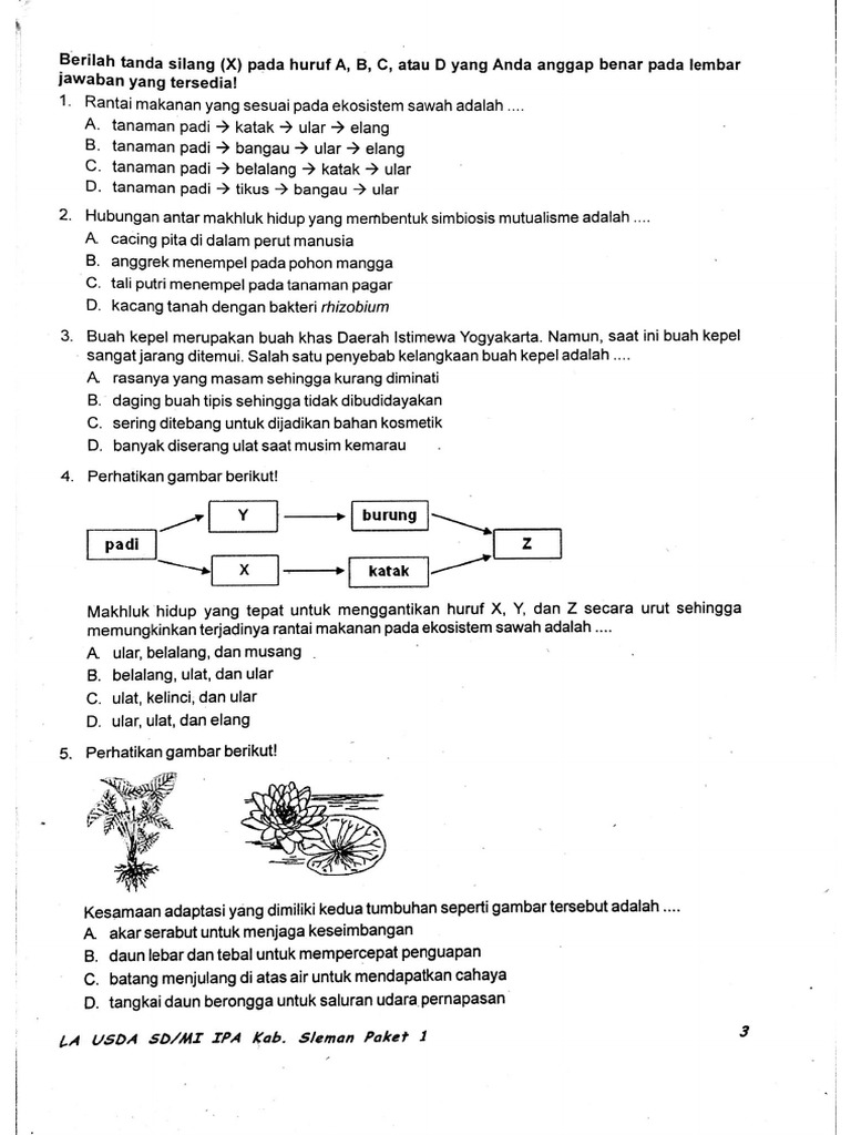 Paket 1 Latihan Ujian Daerah Ipa 2021 | PDF