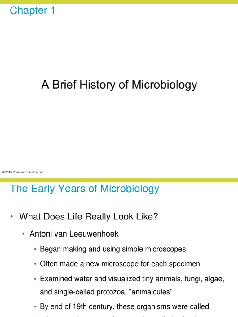 Brief History of Microbiology | PDF | Microorganism | Bacteria