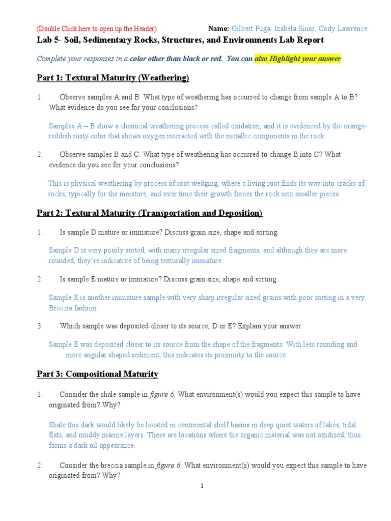Lab 5 - Sedimentary | PDF | Sedimentary Rock | Loam