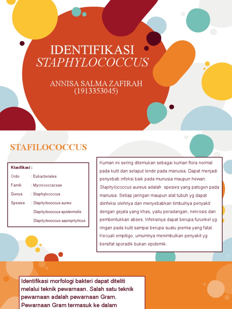 Identifikasi Staphylococcus | PDF