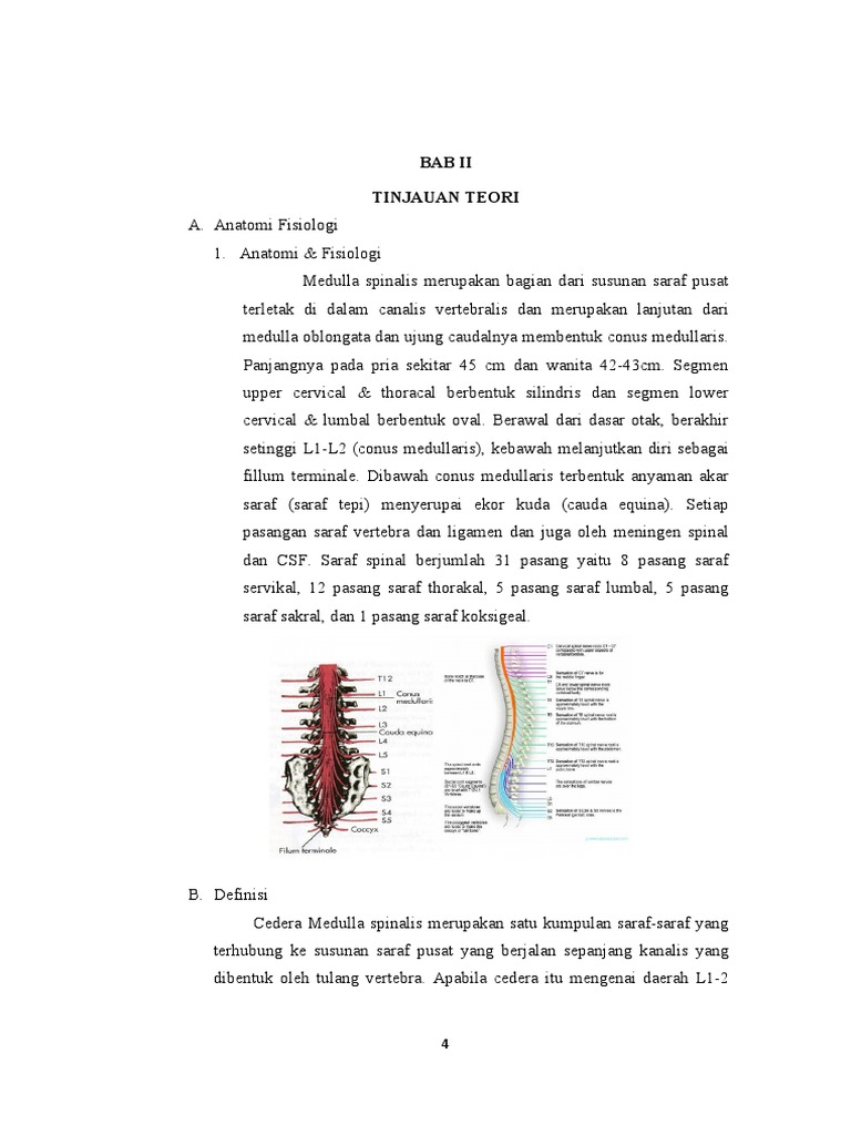 Cedera Medulla Spinalis: Anatomi, Klasifikasi, dan Patofisiologi | PDF | Sains & Matematika