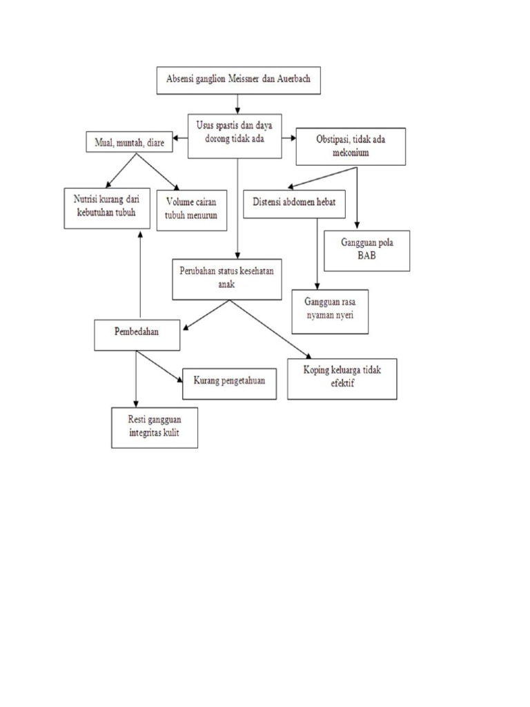 Pathway Hisprung PDF | PDF