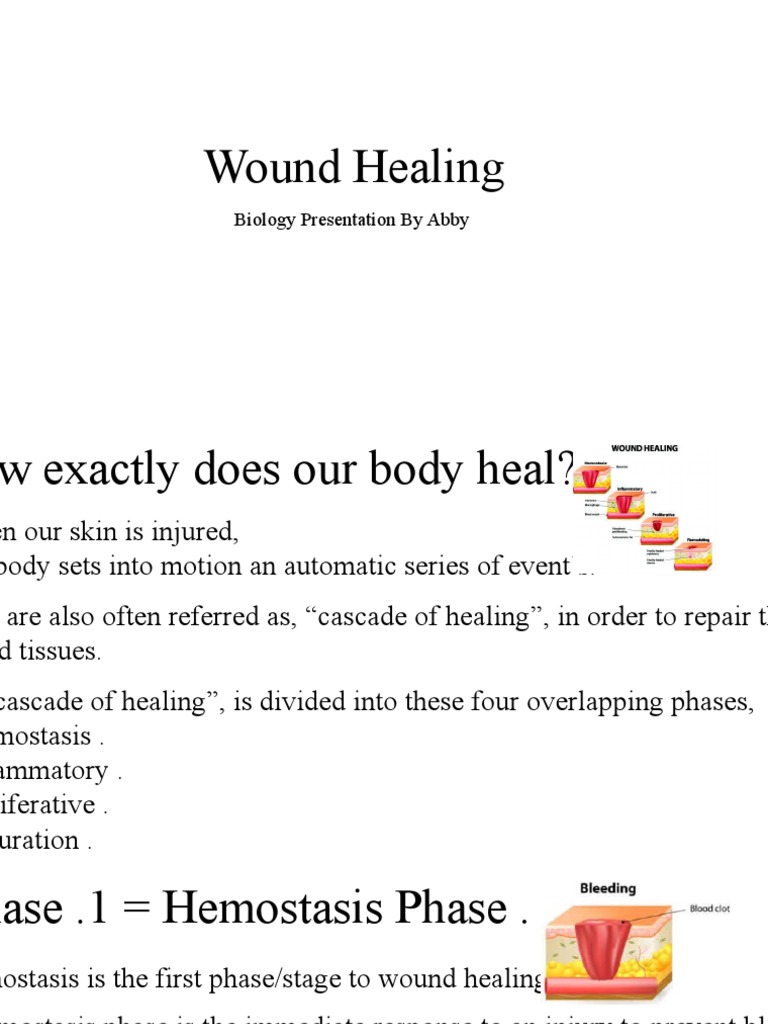 Wound Healing: Biology Presentation by Abby | PDF | Wound Healing ...