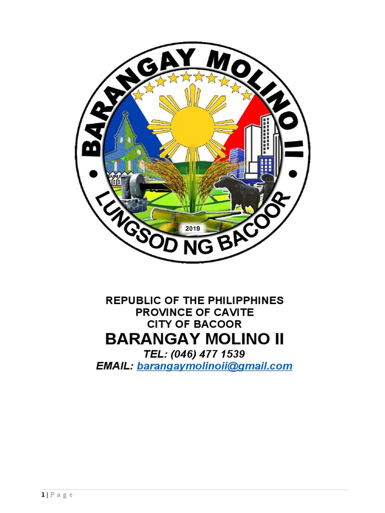 Profile of Barangay Molino II Booklet | PDF | Business
